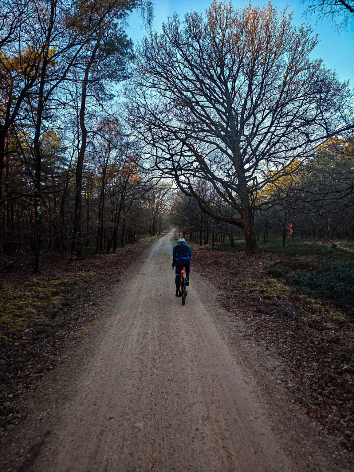 Gravel ride across the Crown Estate Het Loo - always something special ...